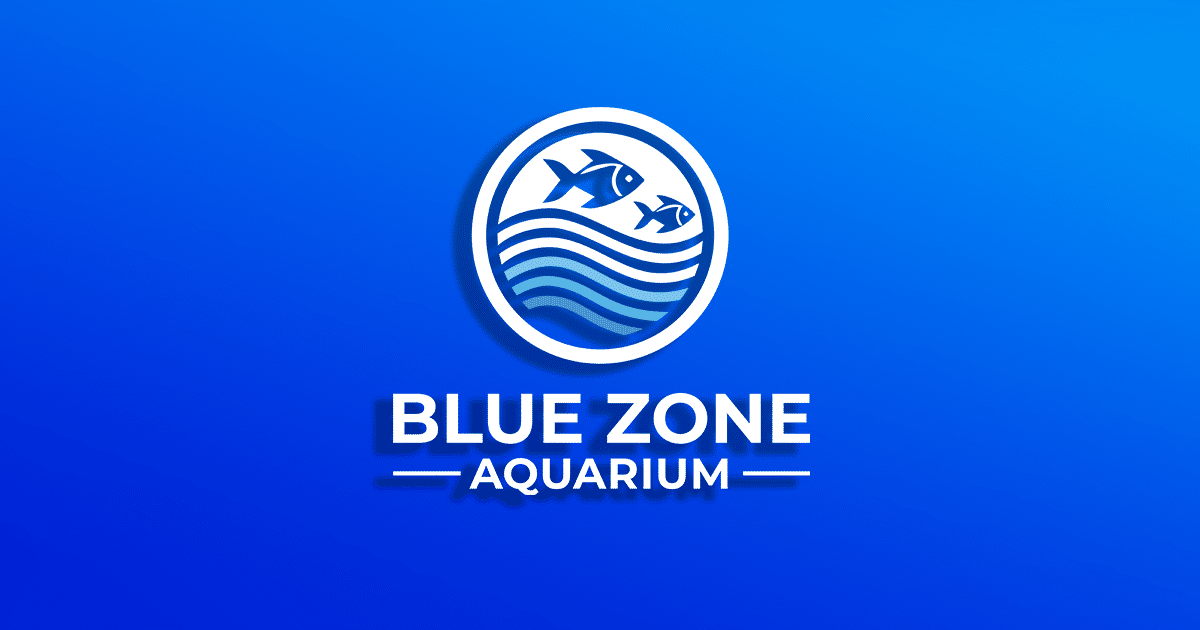 Blue Zone Aquarium: Discover Your Perfect Setup